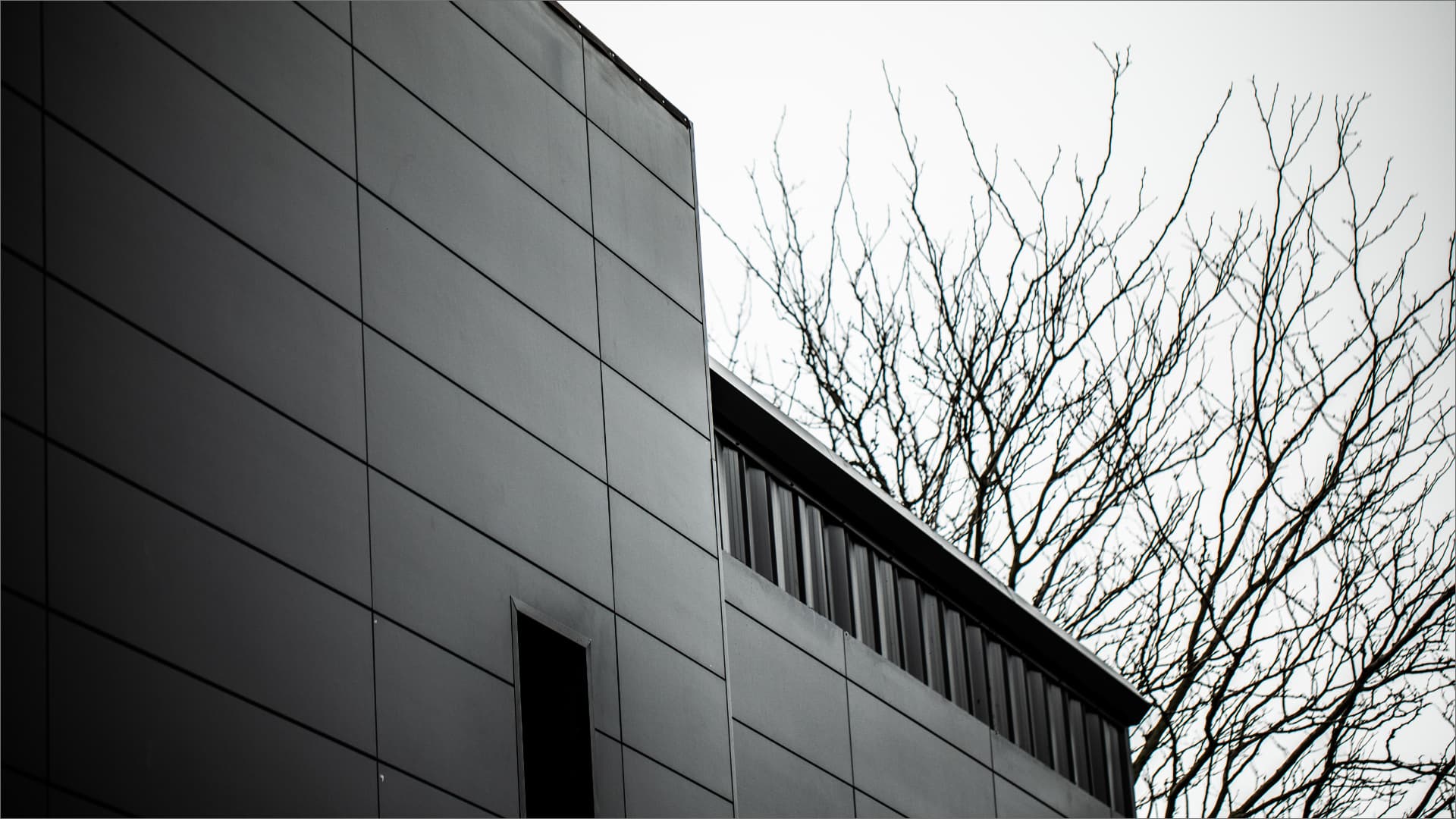 Rickhouse Franchise Development | Crafting Exceptional Franchise Brands